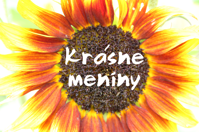 [Ako na to] Meninové kampane – Mocné dáta